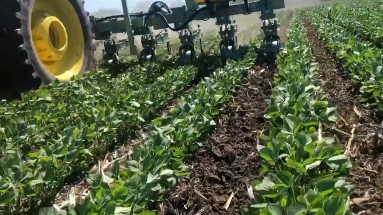 Row Crop Cultivators Cultivator - Orthman Farm Equipment